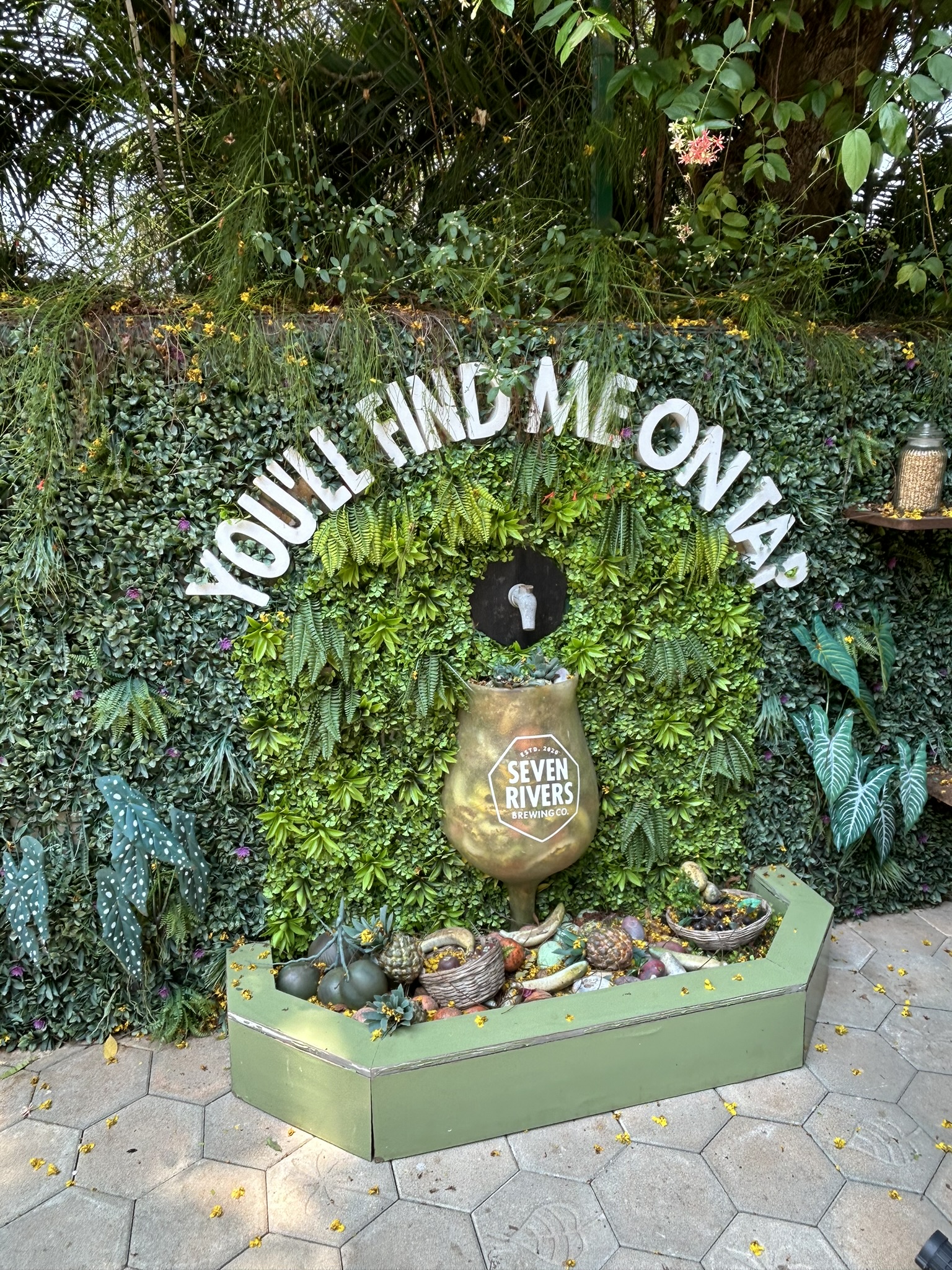 Goa Craft Beer Guide